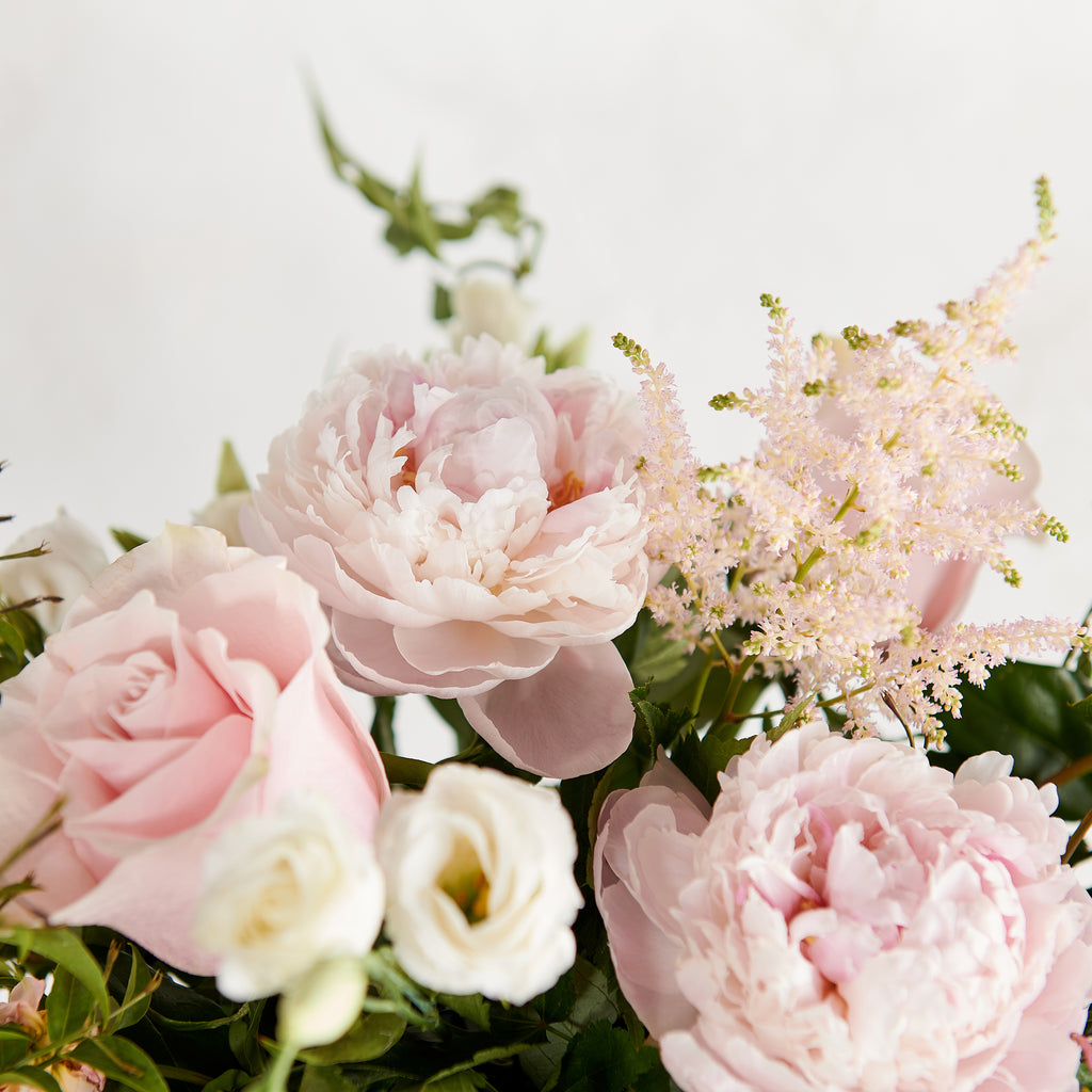 JuJu – Green Meadows Florist