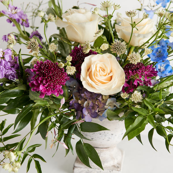 Deep Wild – Green Meadows Florist