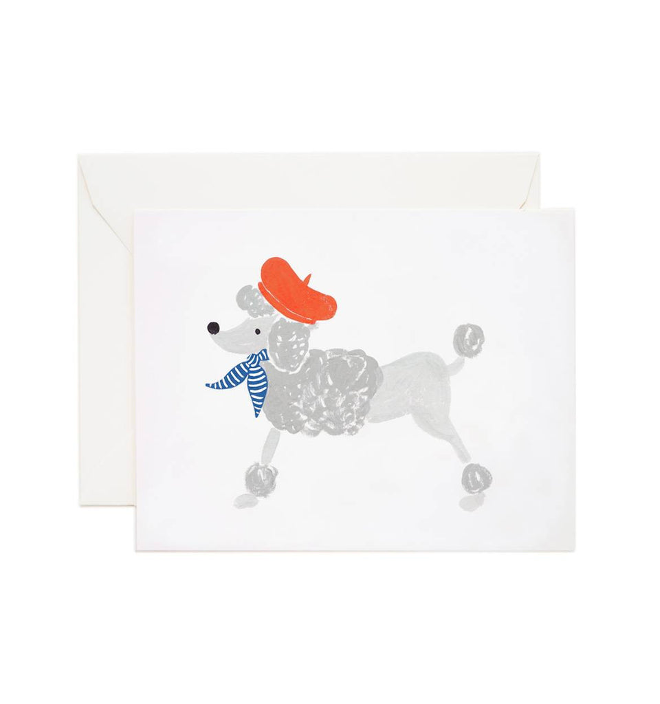 Dog - Box Set – Green Meadows Florist