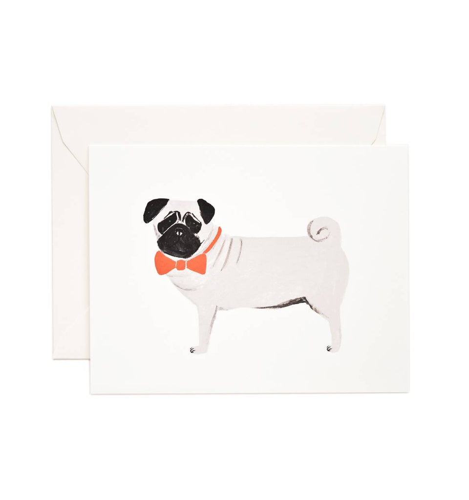 Dog - Box Set – Green Meadows Florist