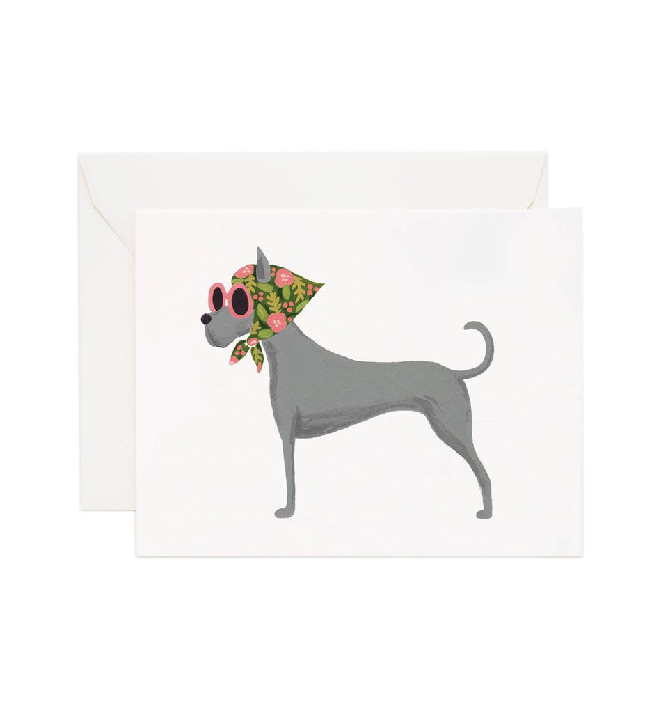 Dog - Box Set – Green Meadows Florist